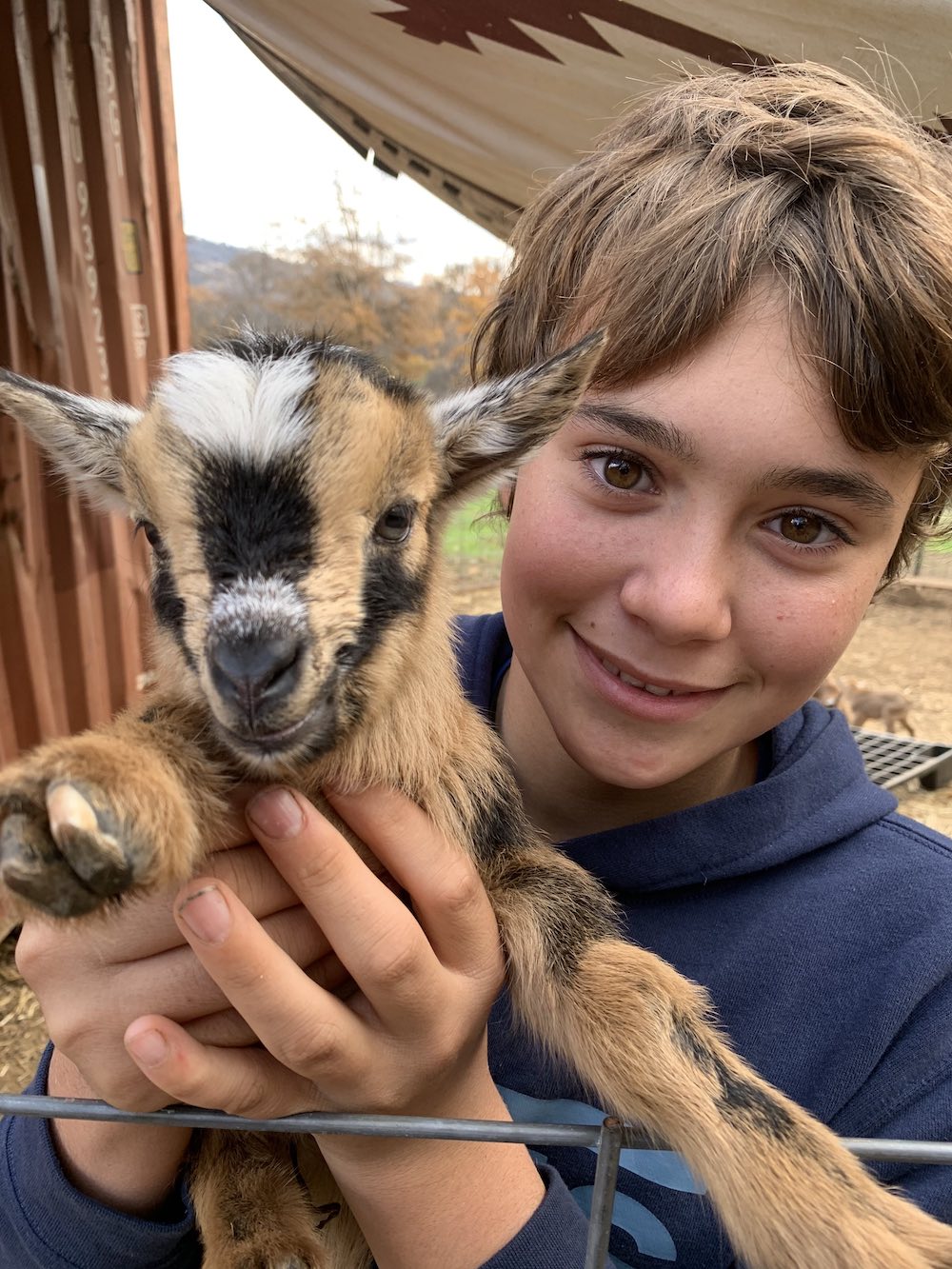 Got Goats? - Mori Natura Author