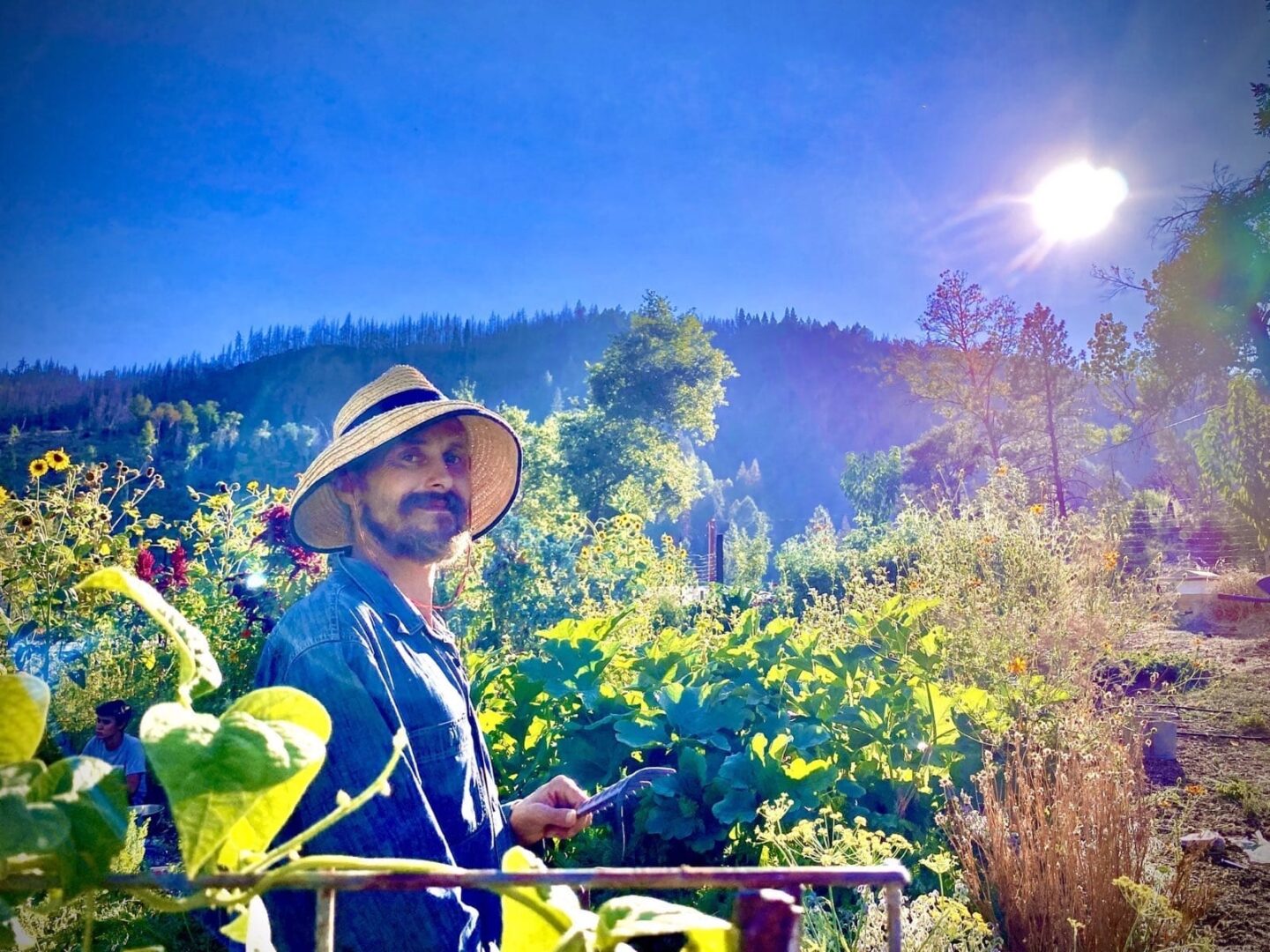 Remembering Daniel | Mori Natura Author